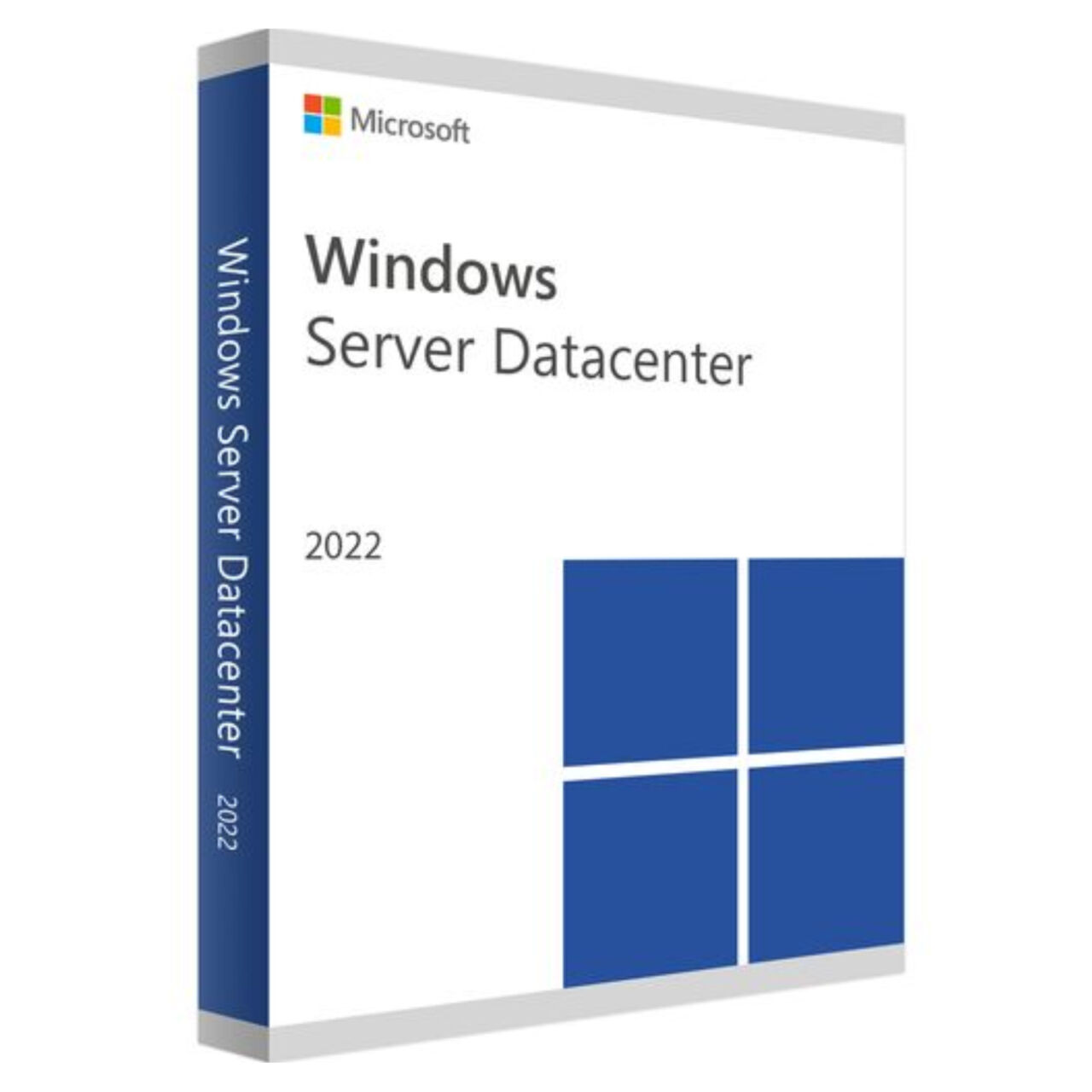 Windows Server 2022 - Datacenter Edition | DigitaLicence